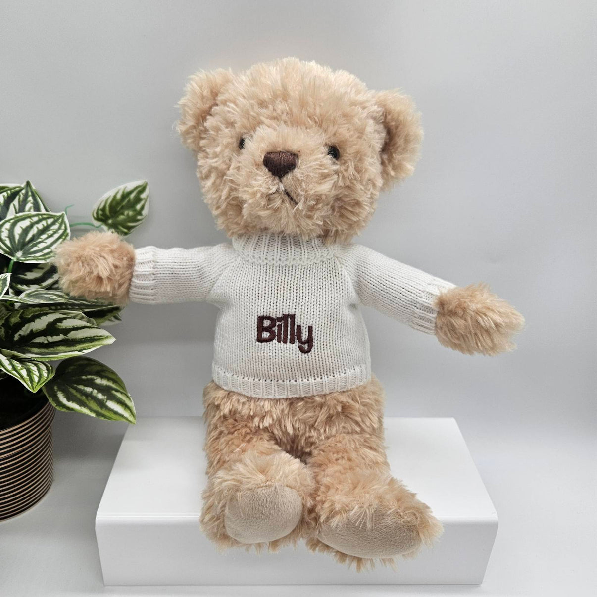Personalised Snuggle Bunny Arthur the Bear Soft Toy – Standard Size | Funky Gifts – Funky Gifts ...